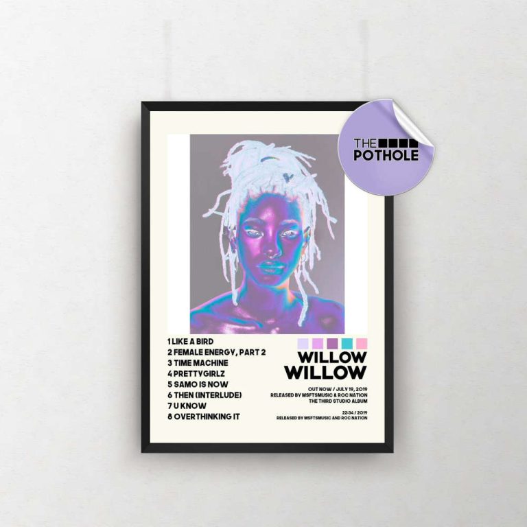 Willow Smith Posters / Willow Poster / Album Cover Poster Photo Poster ...